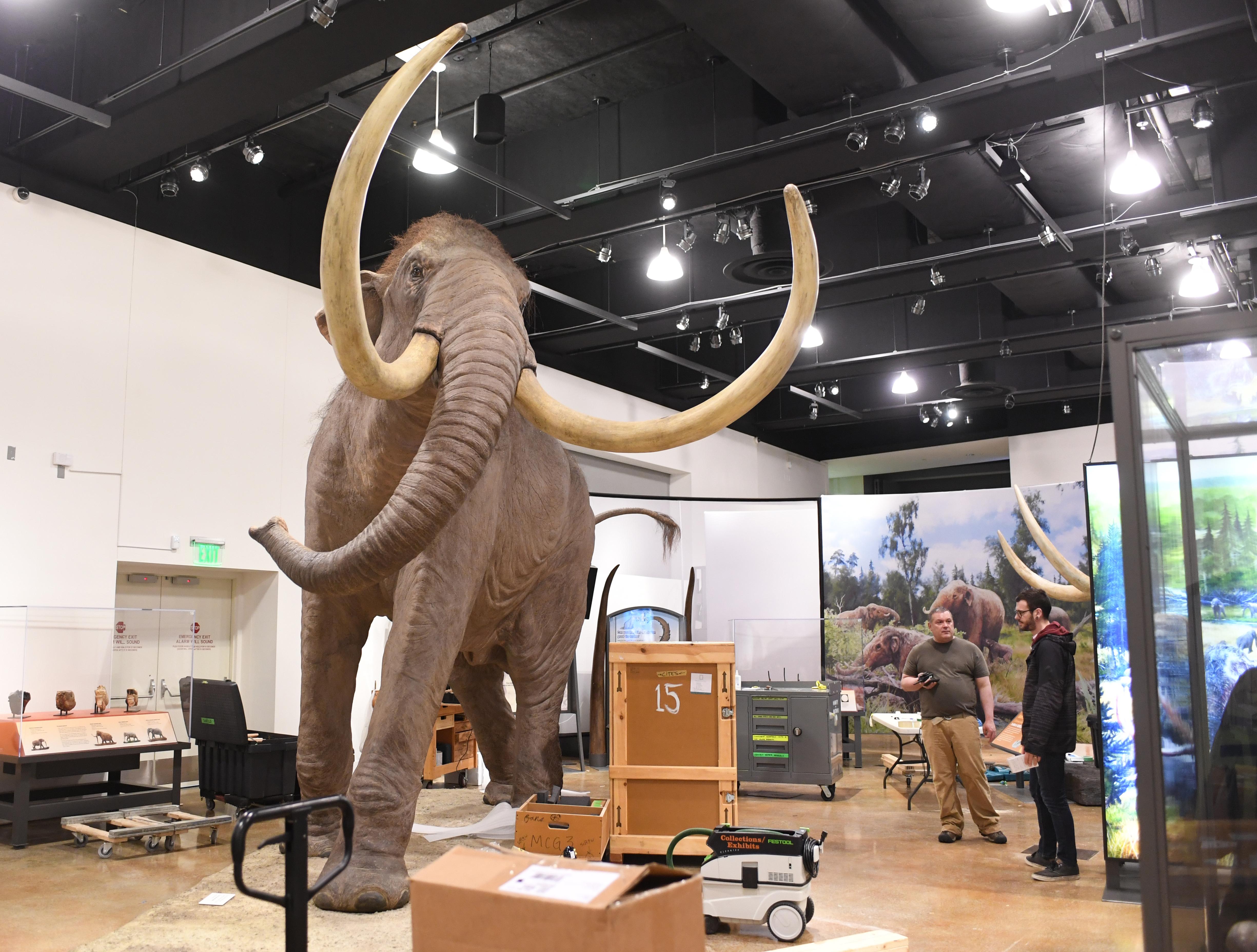Titans of the Ice Age: Mammoths and Mastodons | The Spokesman-Review Titans of the Ice Age: Mammoths and Mastodons | The Spokesman-Review