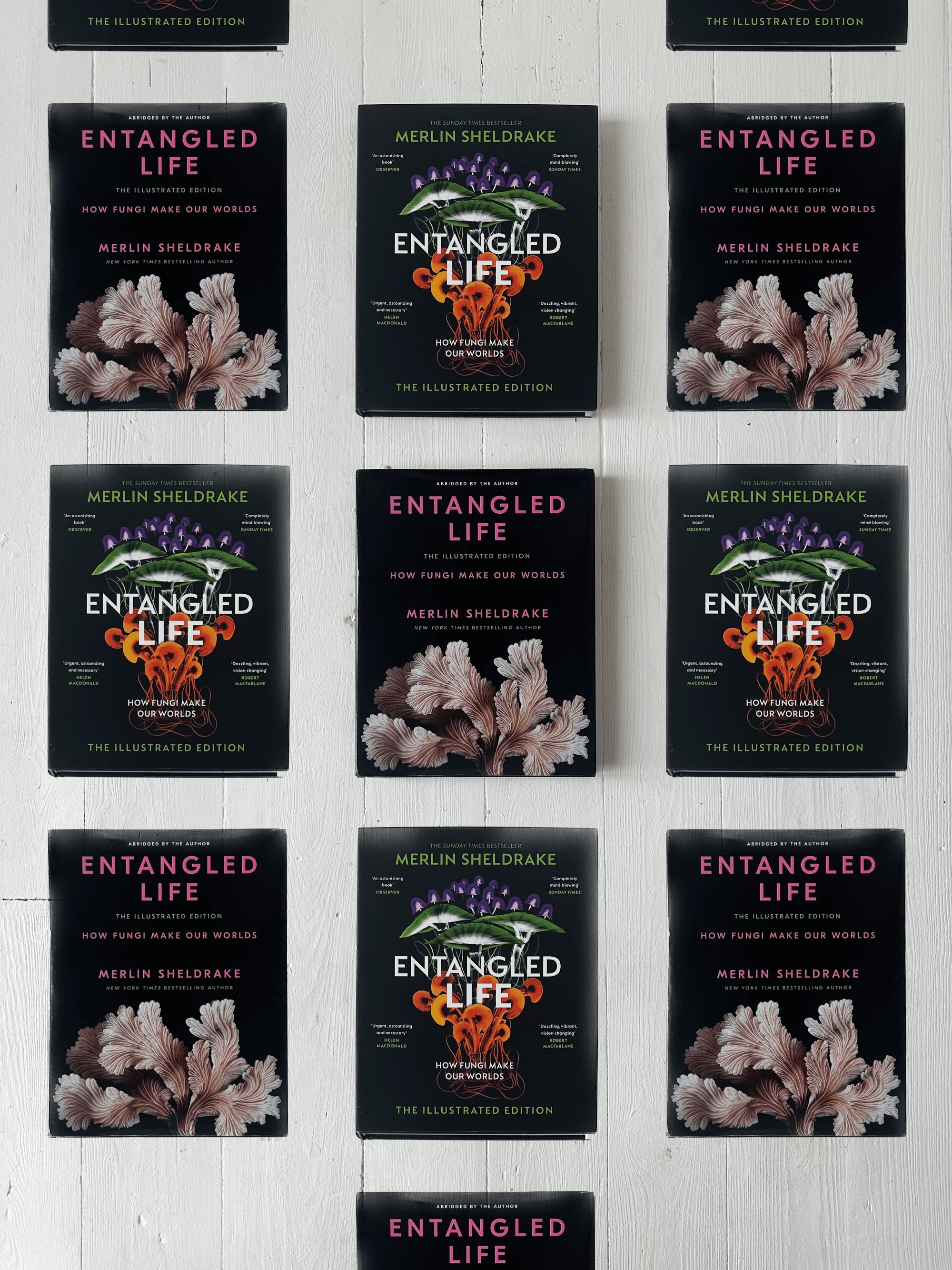 Seven climate books to add to your year-end reading list