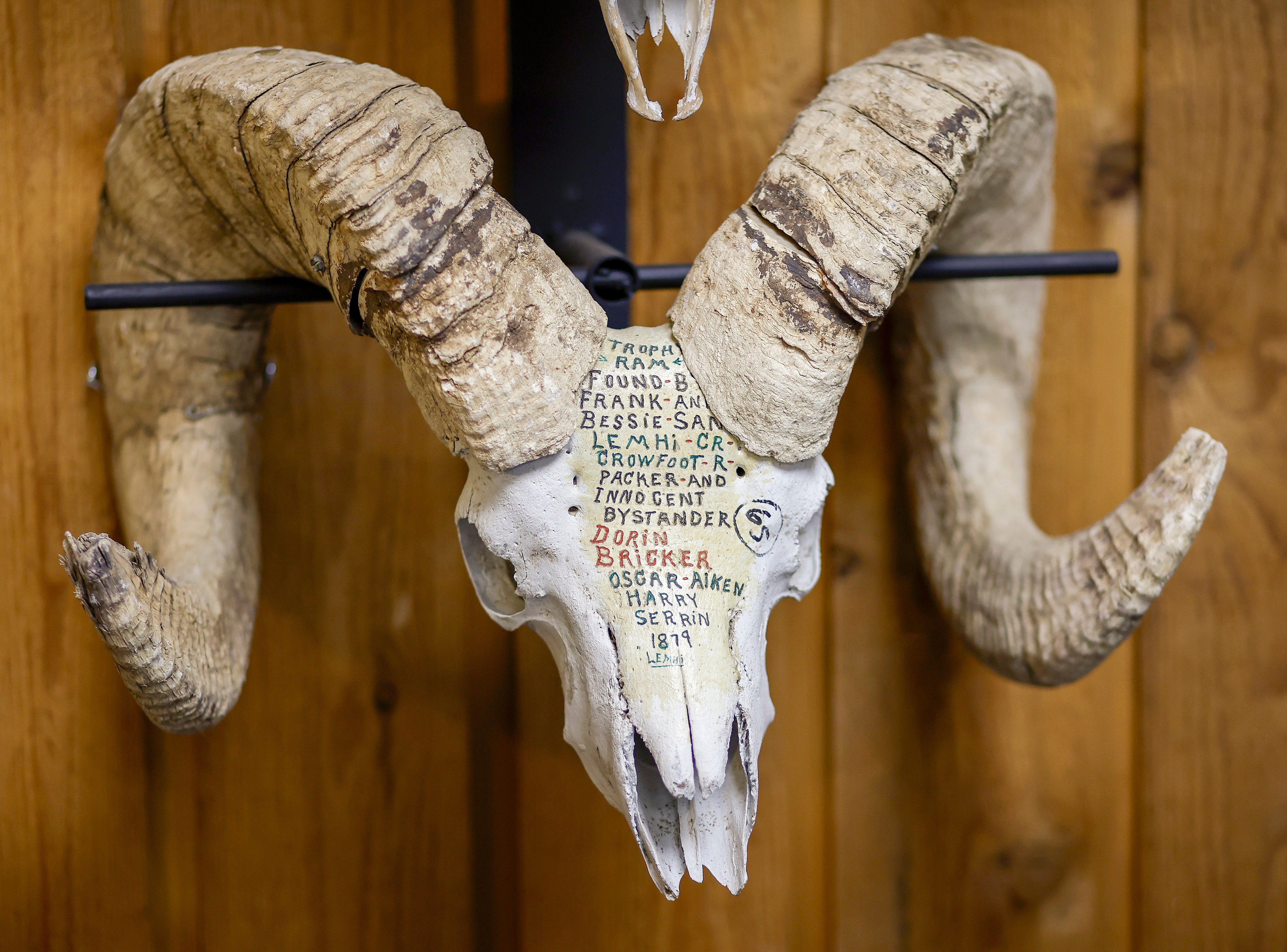 'They're Idaho horns': The cowboys, hunters and conservationists behind ...