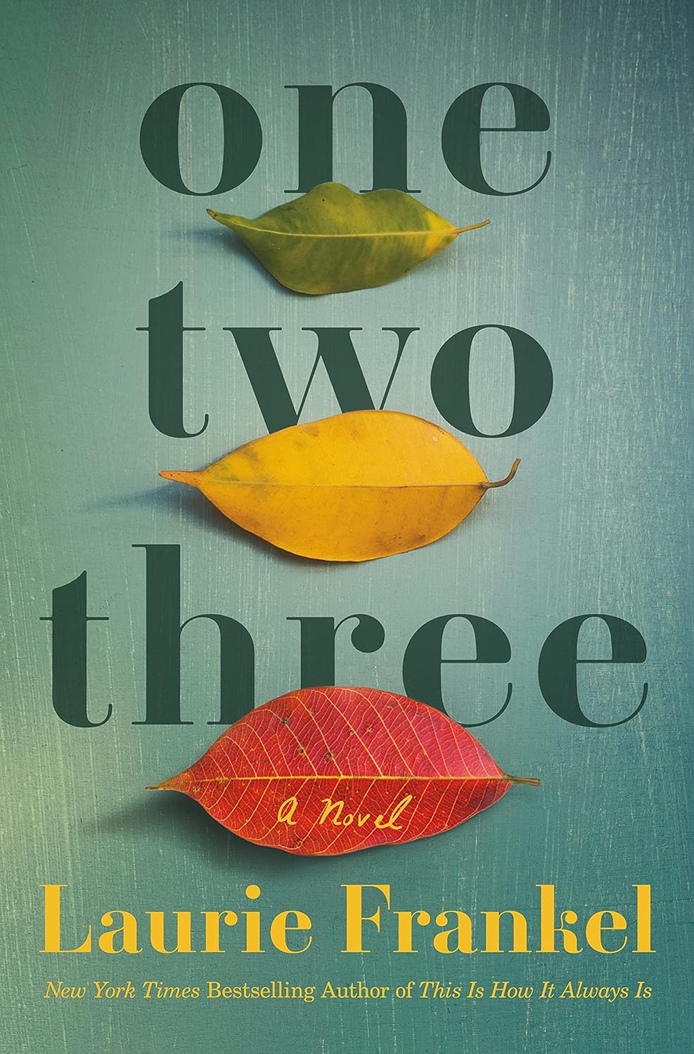 Laurie Frankel's 'One Two Three' selected as 2026 Spokane is Reading book